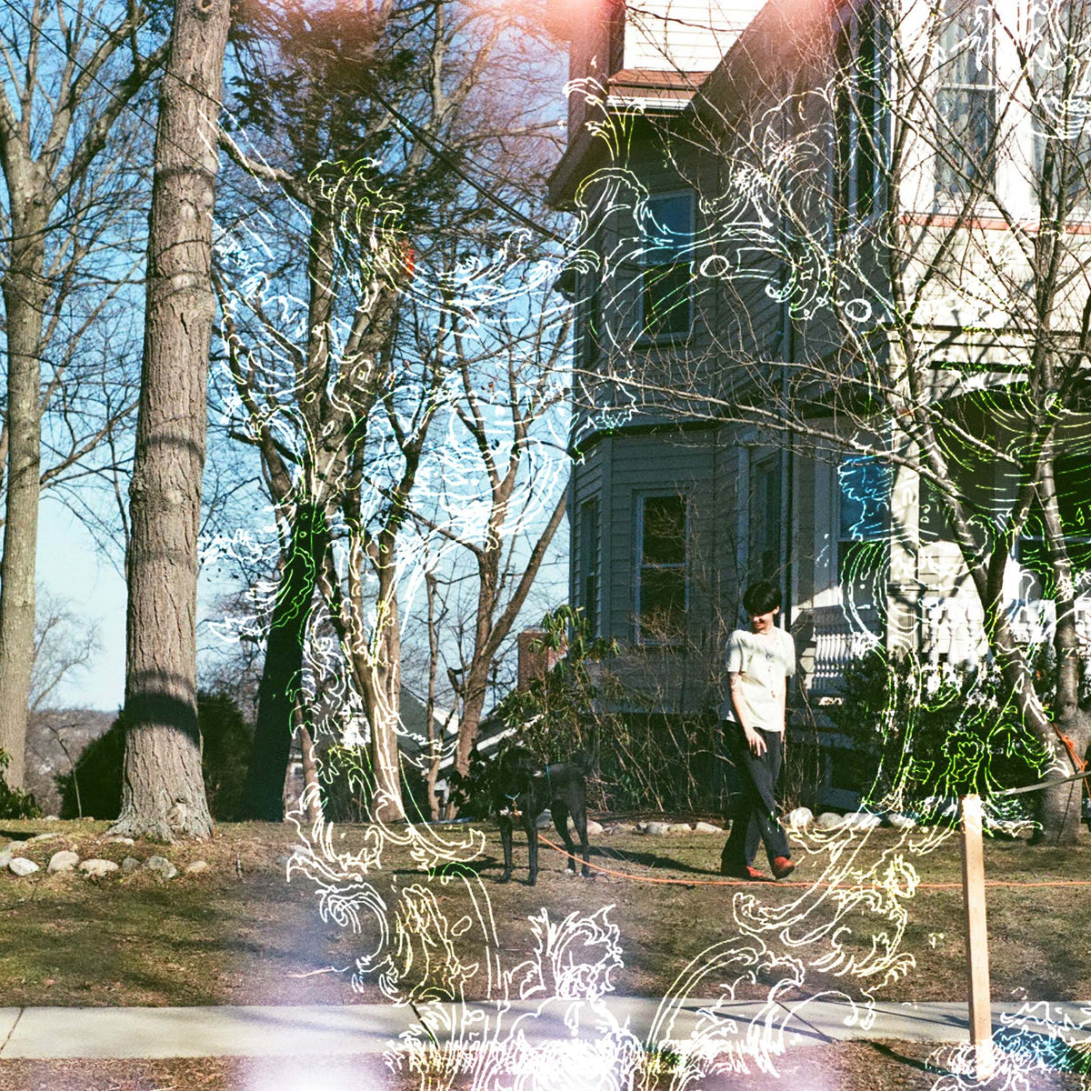 no bodies – Hardly Art